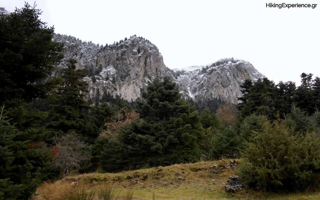 Αίσιο τέλος για τον ηλικιωμένο που έπεσε σε χαράδρα στον Παρνασσό ...