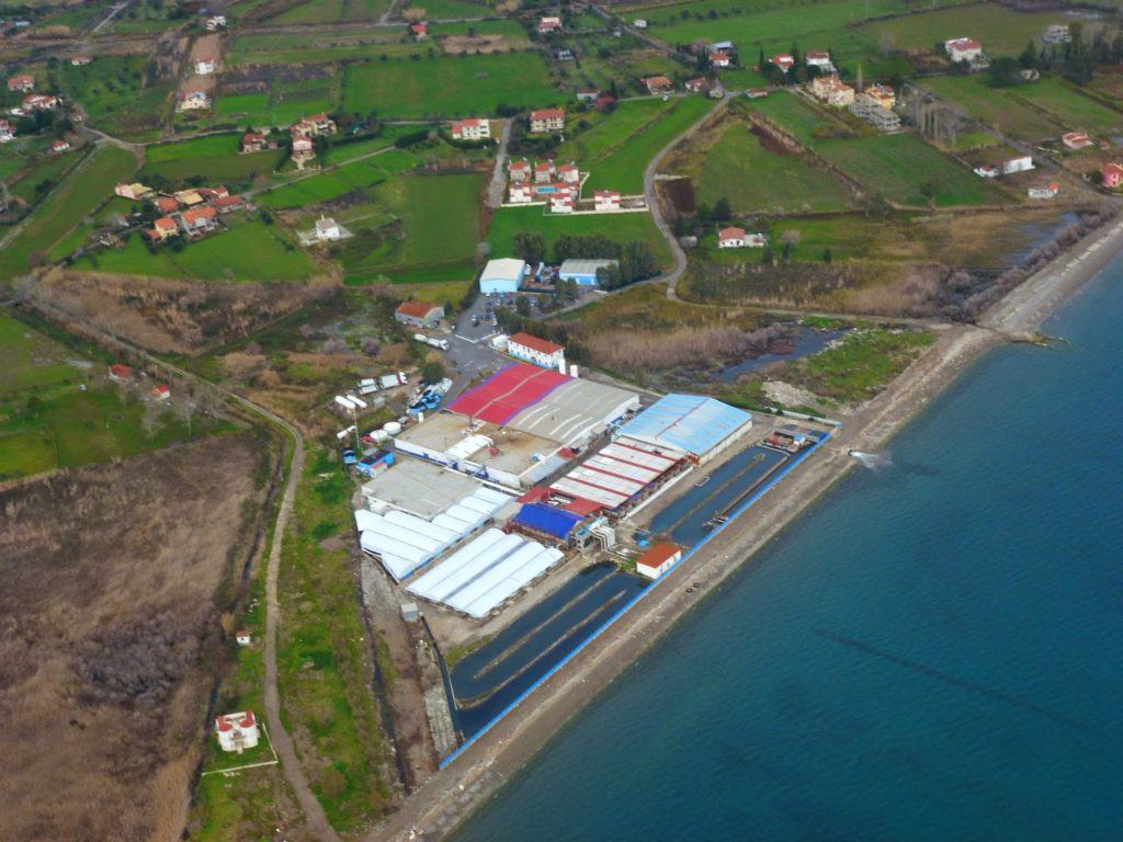 Fokidanews | Ενημέρωση από τη Φωκίδα | Νηρέας και Σελόντα στα χέρια ...